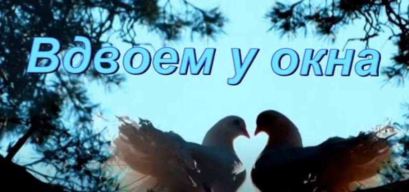 Вдвоём у окна