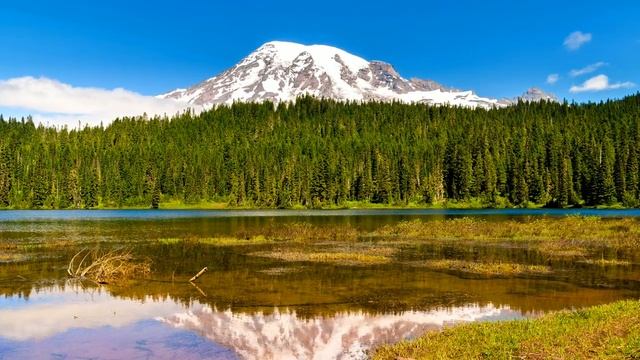 Scott Huckabay. Gentle Awakening