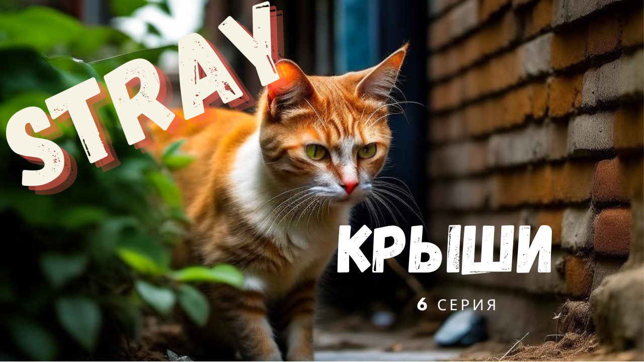 Stray 6 Крыши -- Stray Roofs