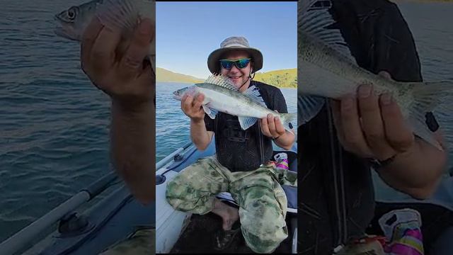 Эмоции от поимки судака в новой акватории