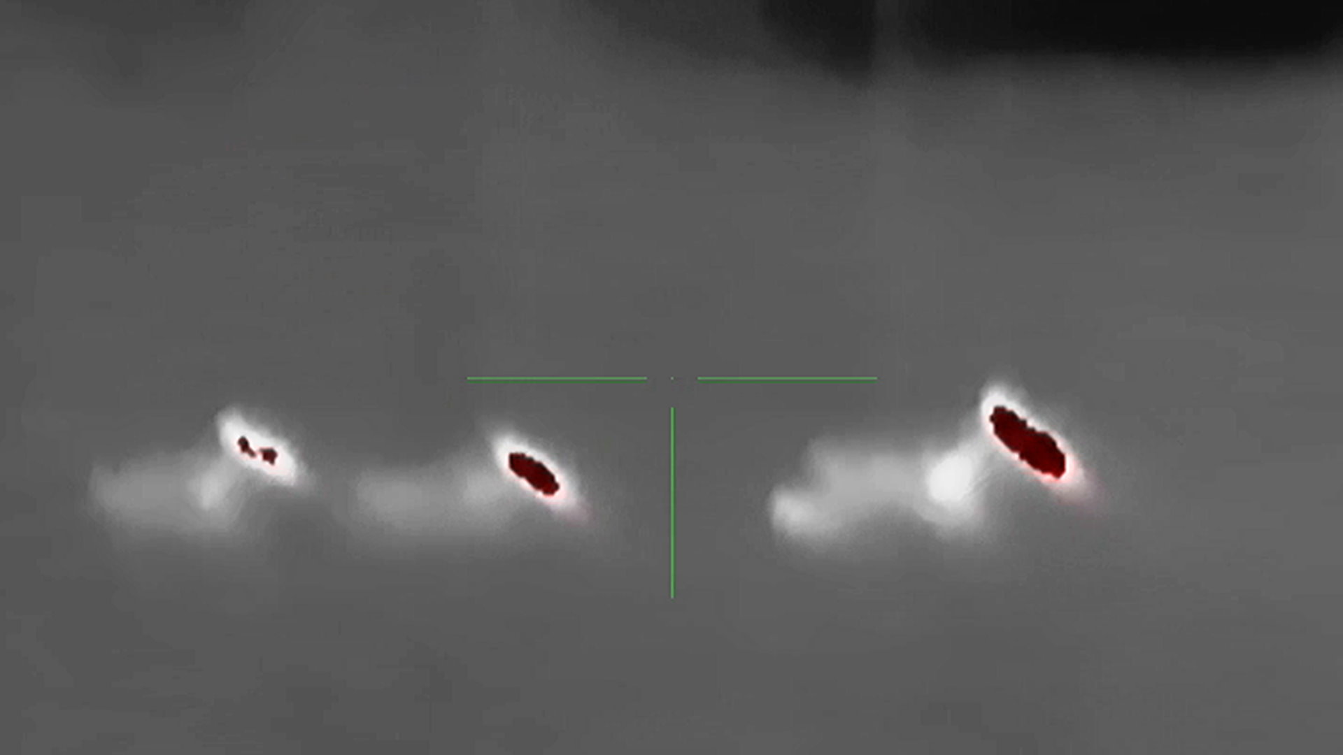 ОХОТА НА ЛОСЯ. ЗАГОН. ЯРОСЛАВСКАЯ ОБЛАСТЬ.