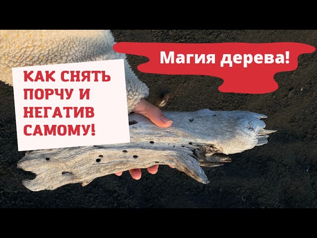 Как снять порчу с себя и негативную энергетику Тополем