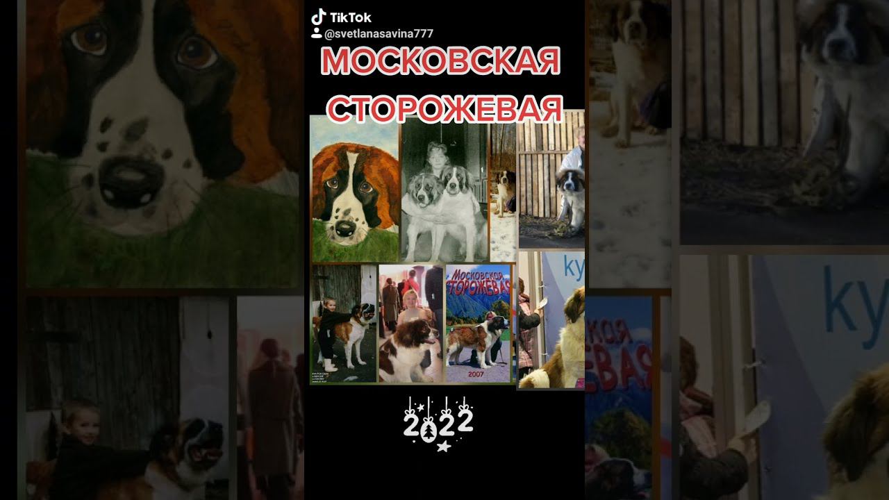 31 декабря 2021 г.