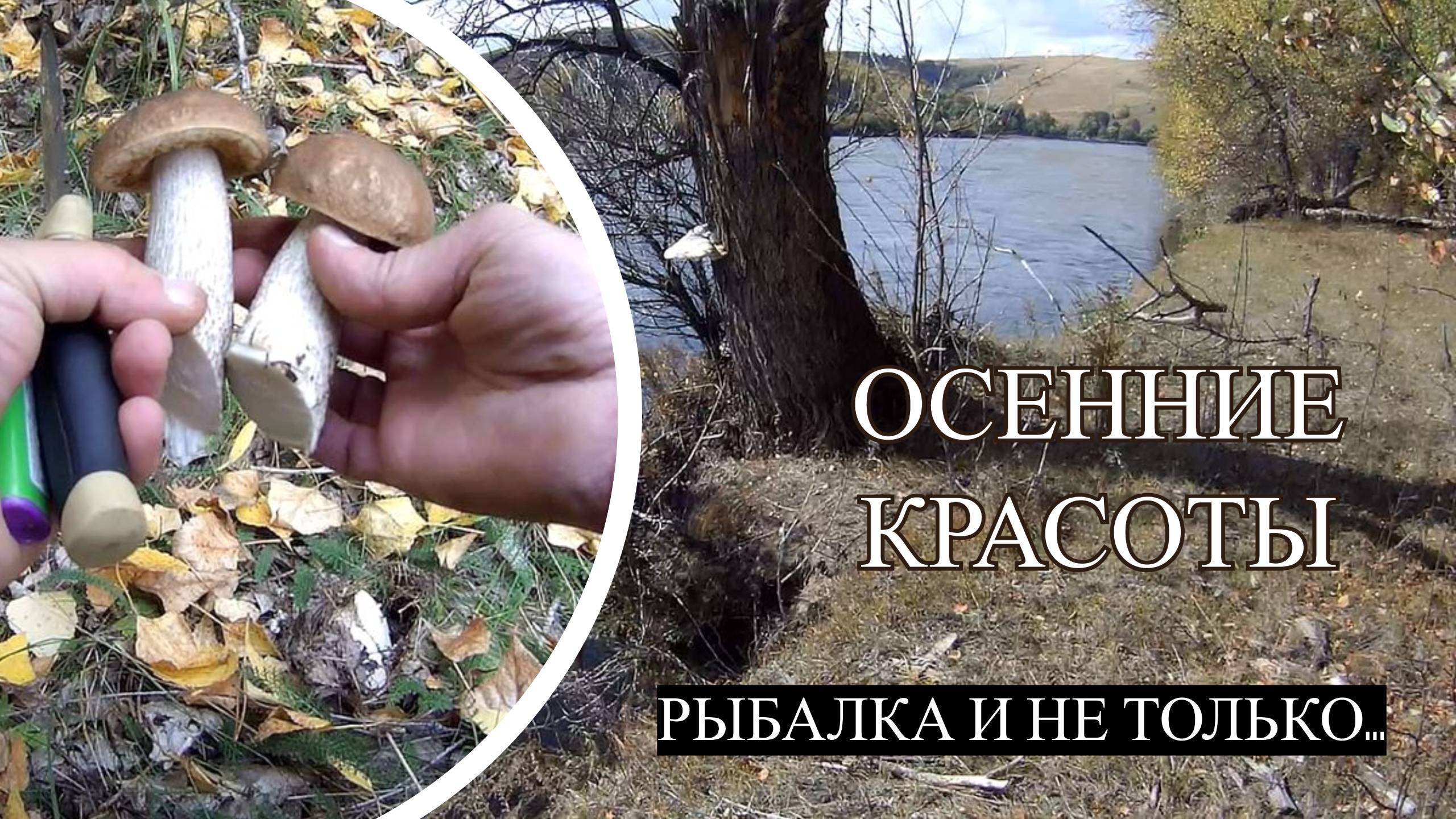 Не наловили зато нарезали#Осенние красоты в районе с.Лугавское