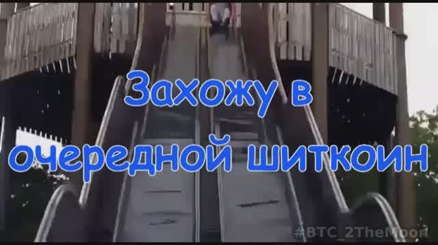 Когда закупился шиткоинами на хаях