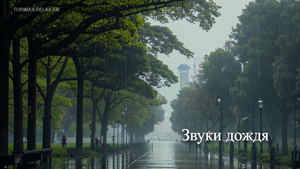 Звуки дождя _ Ливень