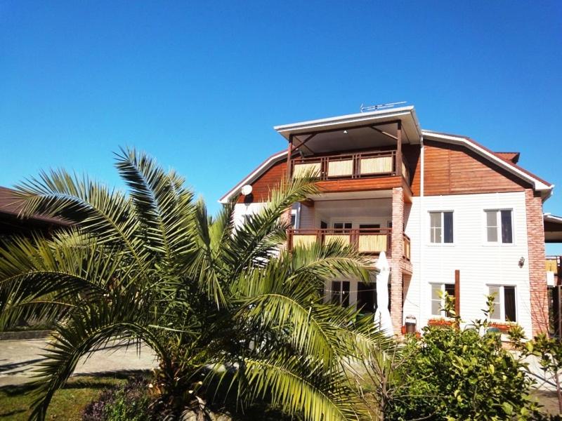 Гостиницы в Цандрипше рядом с морем. Отдых в Цандрипше в Абхазии. «Ольга» ГОСТЕВОЙ ДОМ в Цандрипше