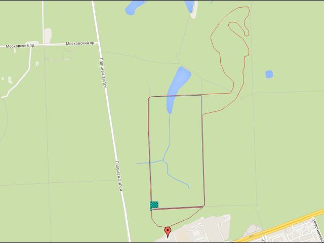 Лыжная трасса на 5 км Лыжное будущее Москвы, видео Толстиков Игорь лыжный клуб Измайлово
