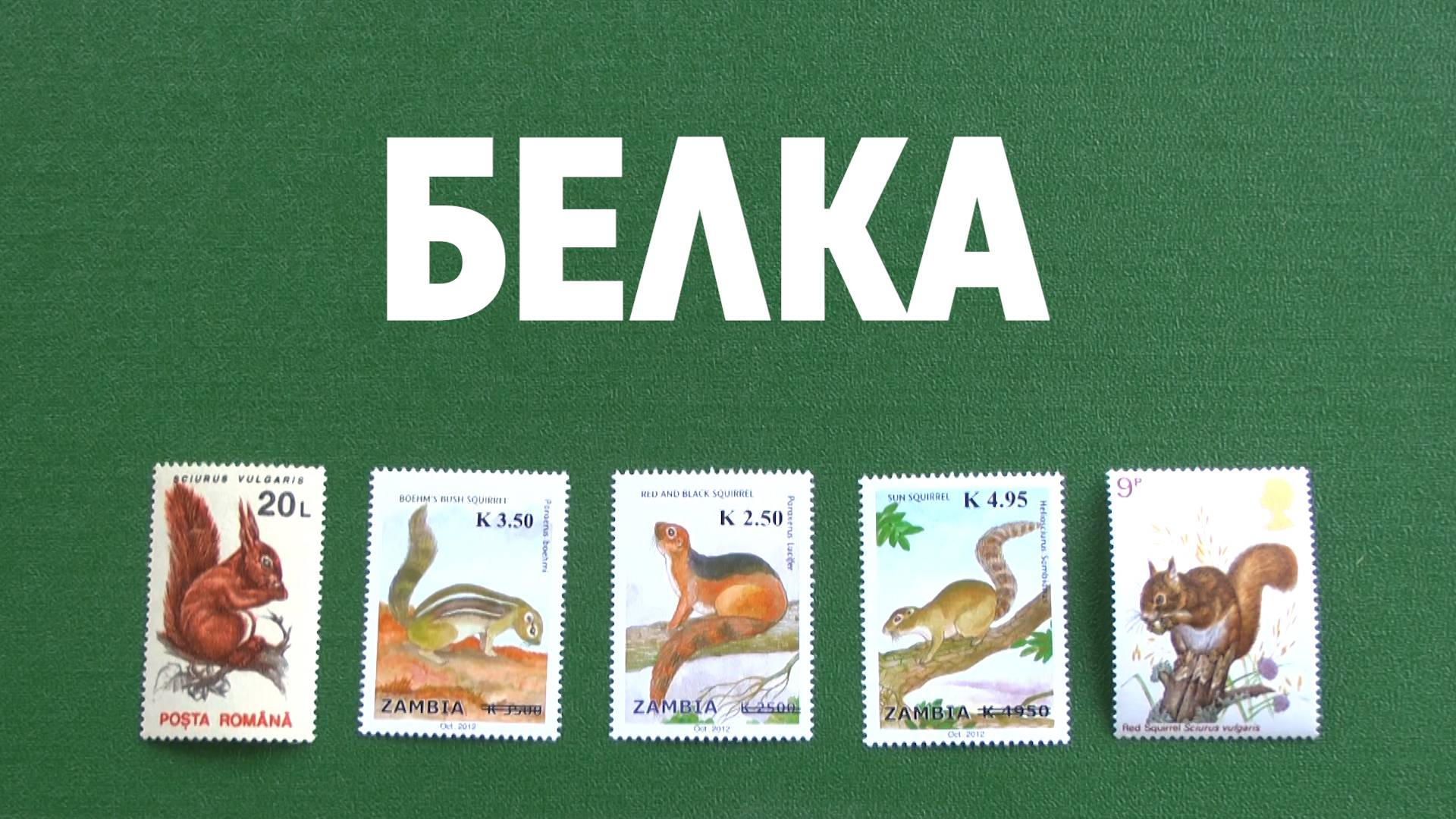 Белка ( почтовые марки)