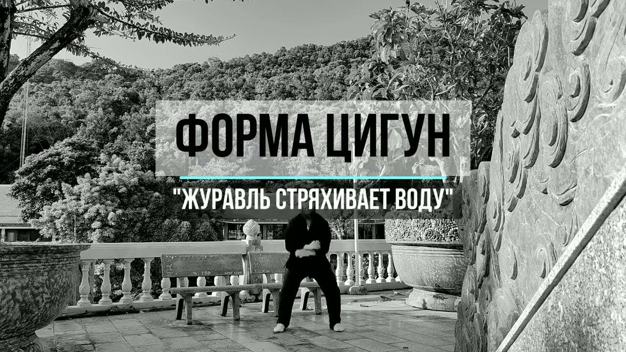 Упражнение Цигун "Журавль стряхивает воду": Улучшение осанки и избавление от напряжения.