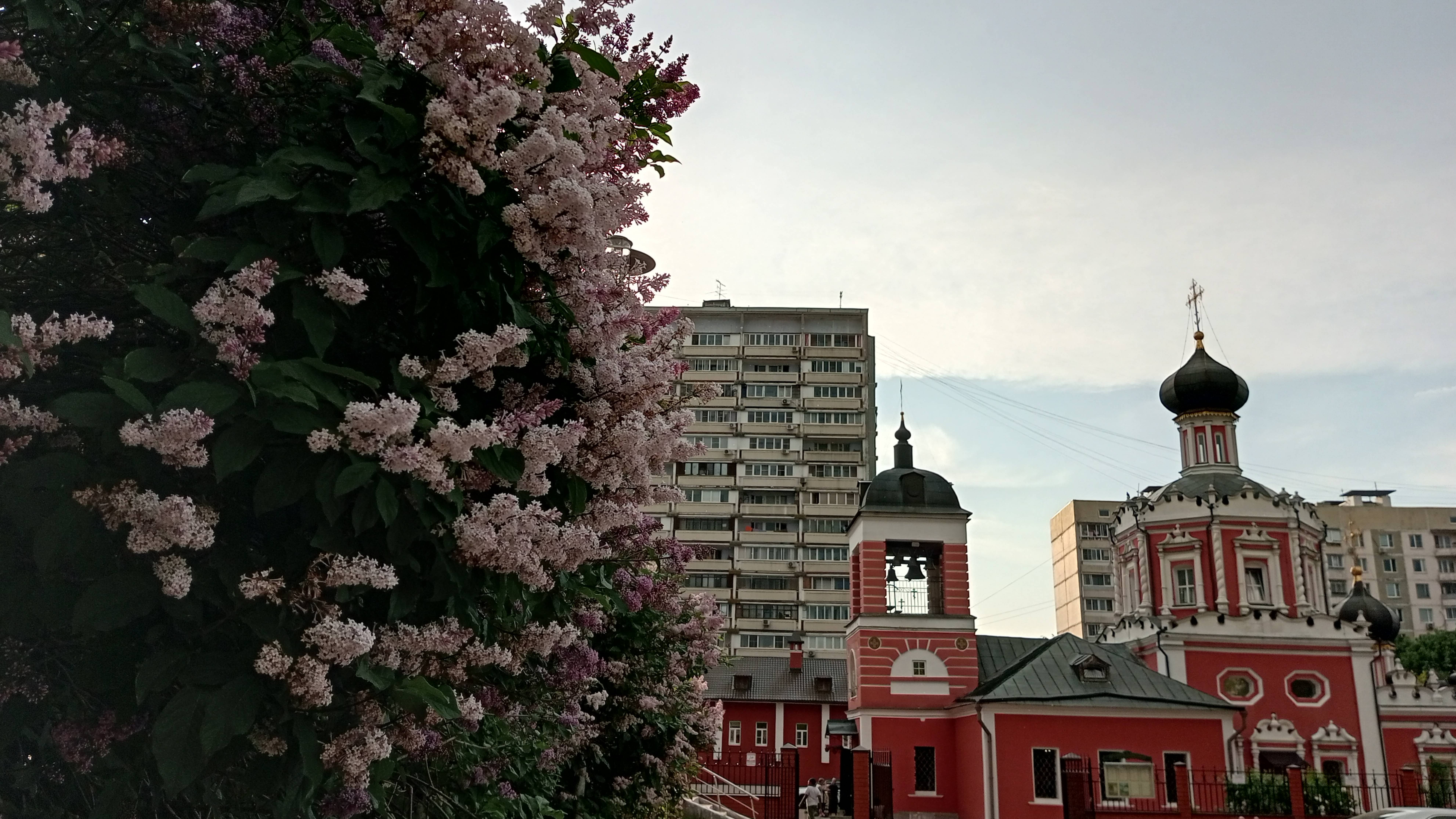 Храм Троицы Живоначальной в Конькове