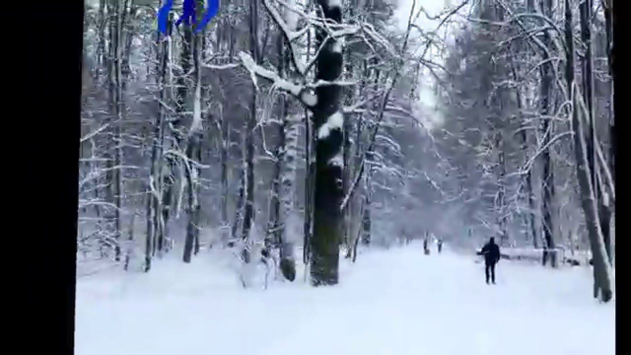 Презентация Лыжное будущее Москвы 2016 видеомонтаж Толстиков Игорь лыжный клуб Измайлово
