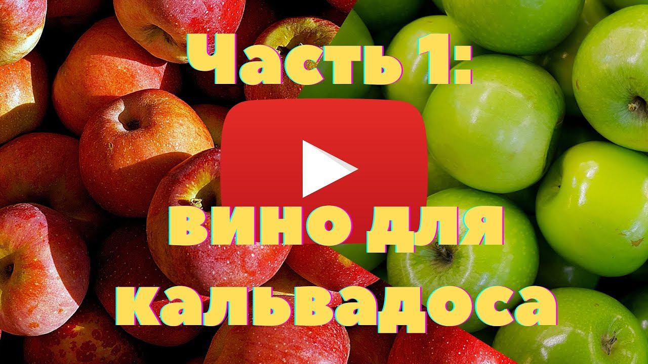 Часть 1  Вино для кальвадоса