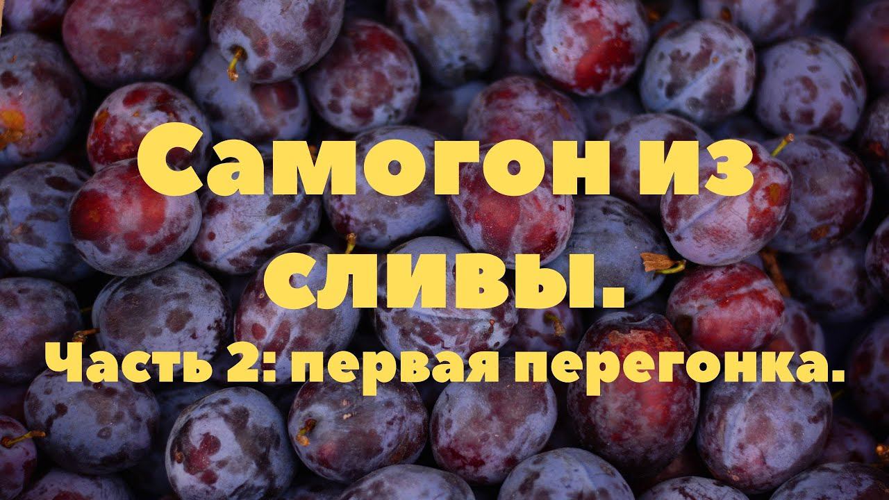 Часть 2 Самогон слива первак