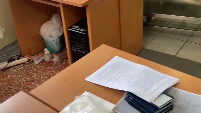 Организация школьного питания в СШ №17 города Нижневартовска