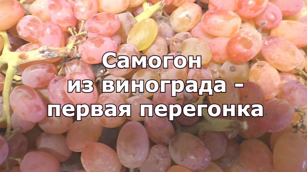 Самогон из винограда - первая перегонка