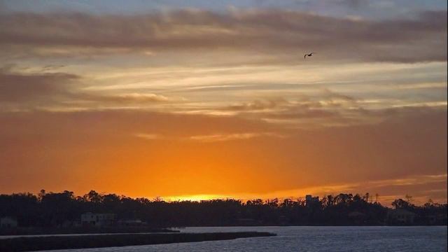 Догоревшего дня уголёк