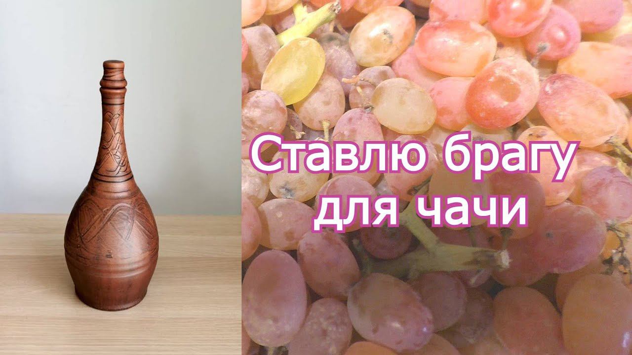 Брага для чачи