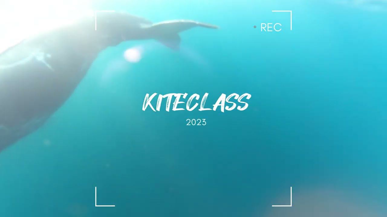 Киты и кайтеры в Баренцевом море