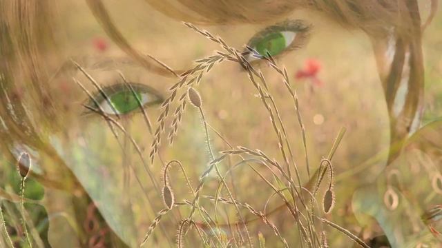 Хару стала святой и защищает Тридон.