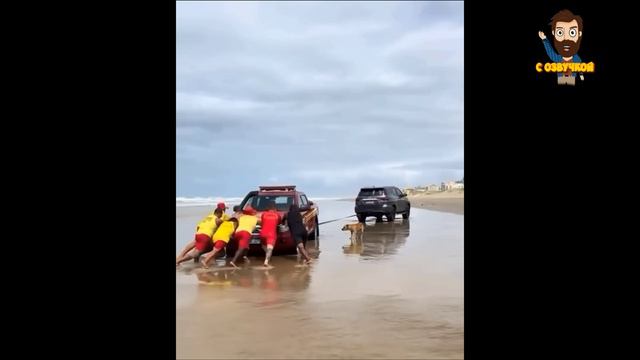 смешные видео ржал 5 минут!! 3 часть