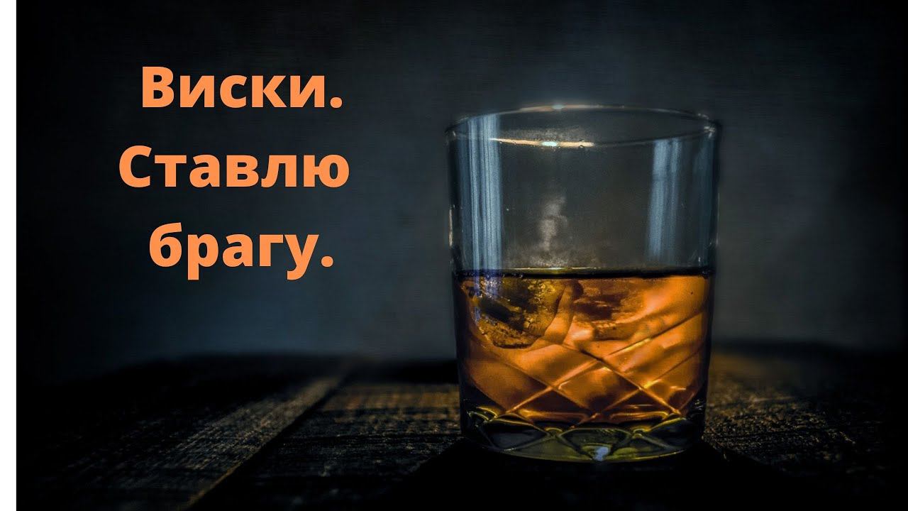 Виски: ставлю брагу