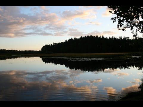 Река Суна
Suna 2016