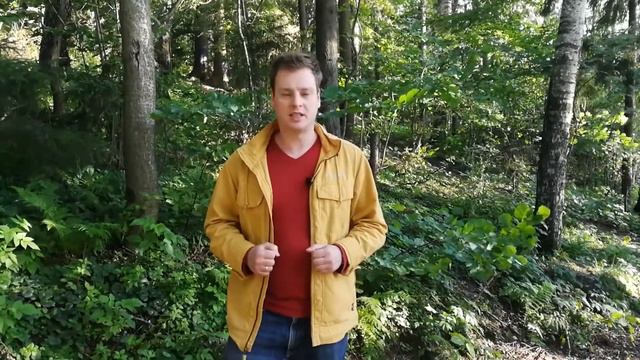 Analyst Days-11. Анонс доклада от Олега Колтунова