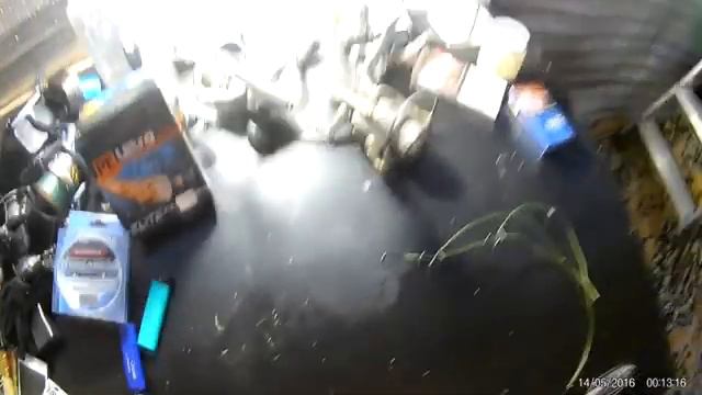 Уневерсальная донная снасть на осетра