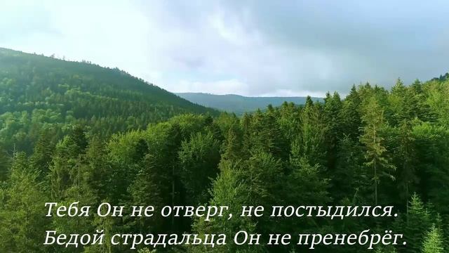 🙏🪗«Отпускай хлеб твой по водам.» Brat Bruder.