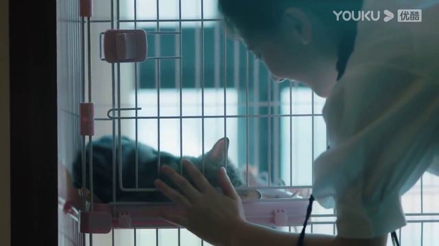 Моя королева переговоров 1 сезон 9 серия