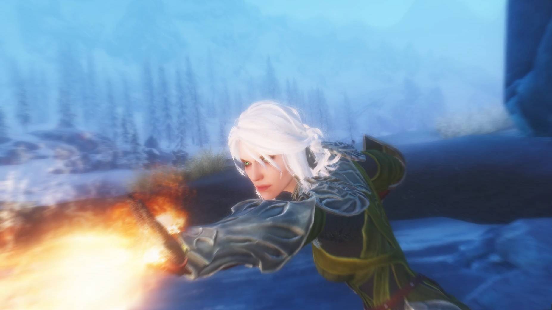 Леди удачи. Цири присоединяется к Братьям Бури