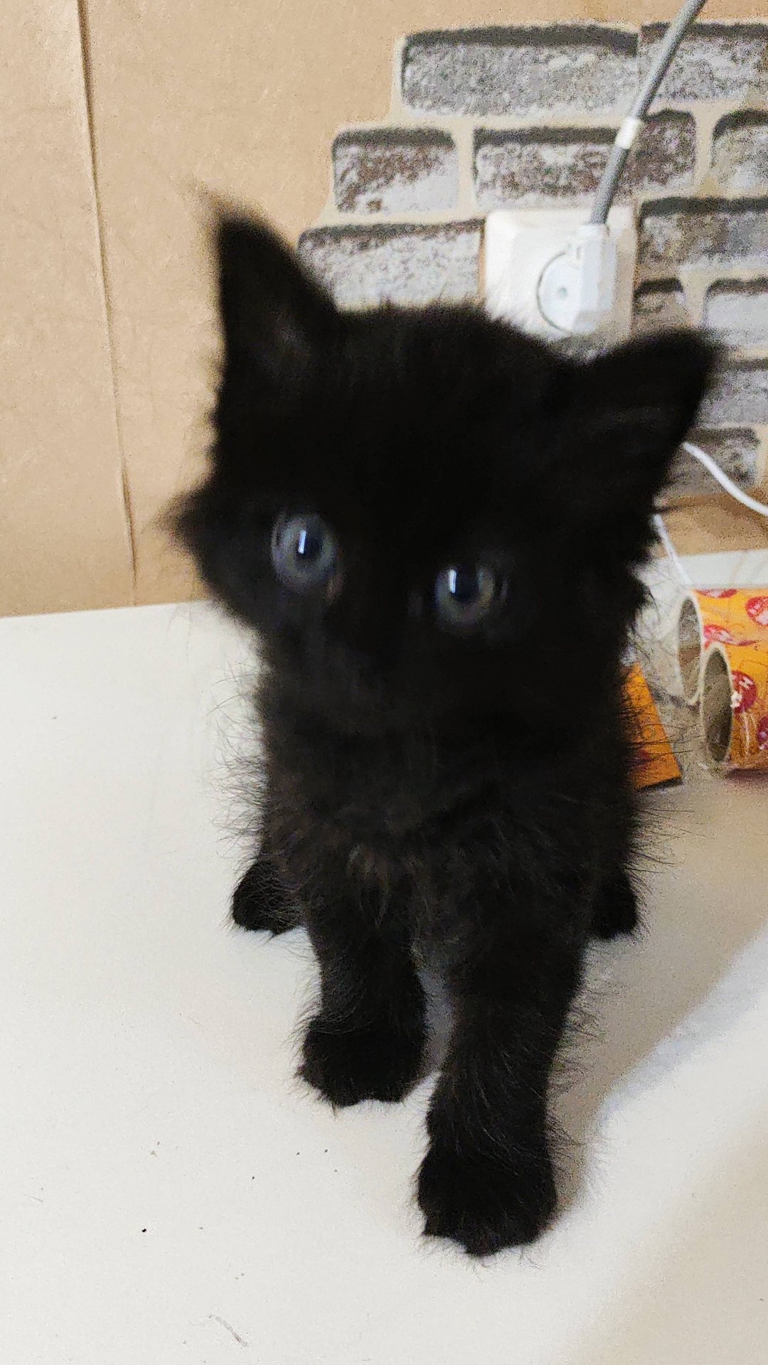 Люцифер молодые годы полная версия-(1080p) (1)