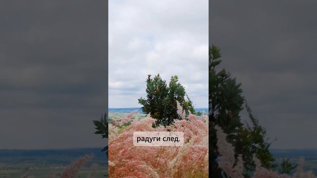 #shorts  стих из Воспоминания на клавишах :https://ridero.ru/books/vospominaniya_na_klavishakh/