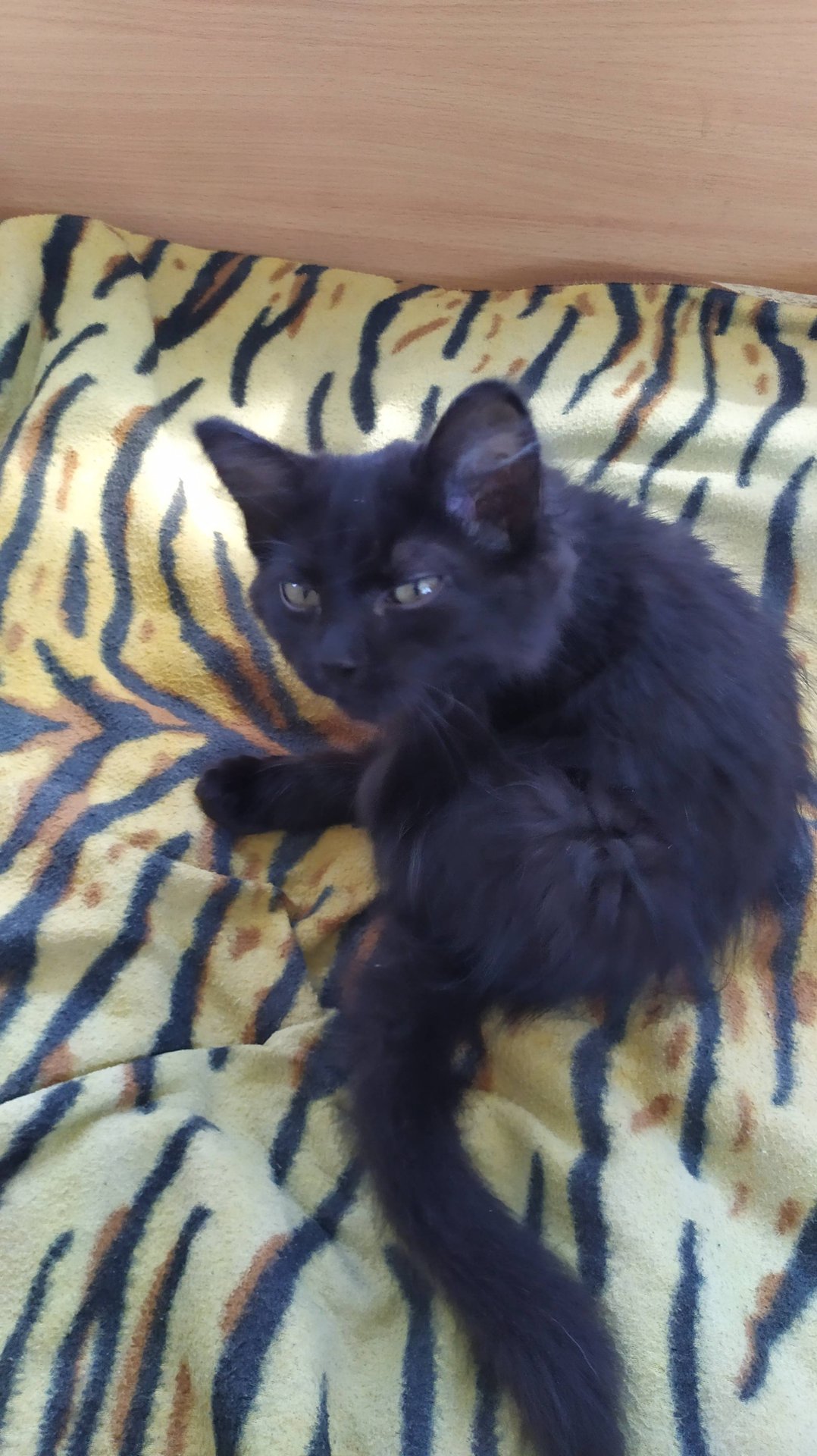 Утро первое волнительное