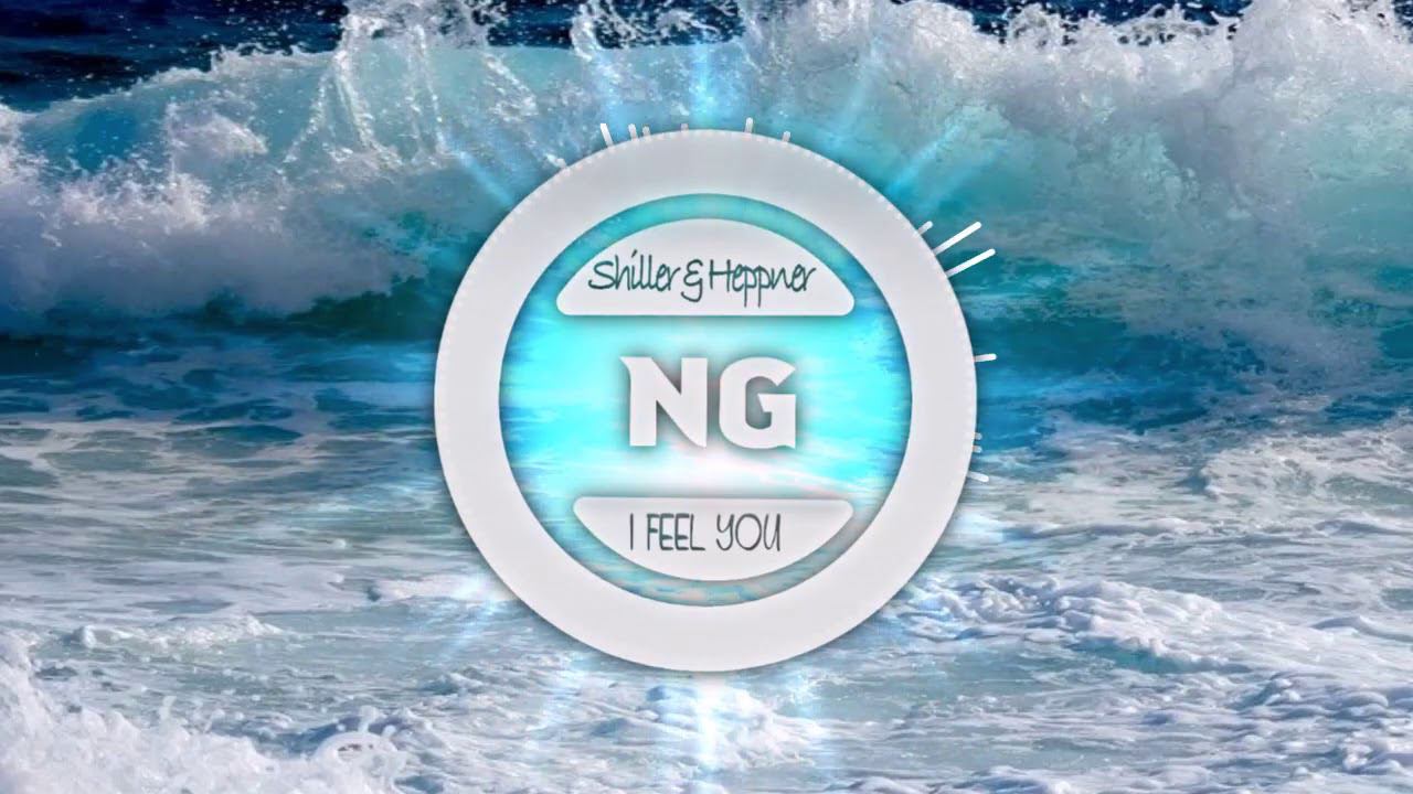 Shiller feat. Heppner - I Feel You (NG Remix)