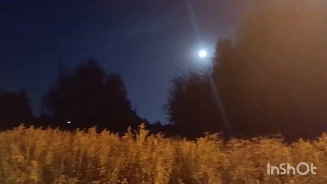 новый  VLOG // урожай грецких орехов🌰🌰🌰// салон красоты на дому// нужные мелочи