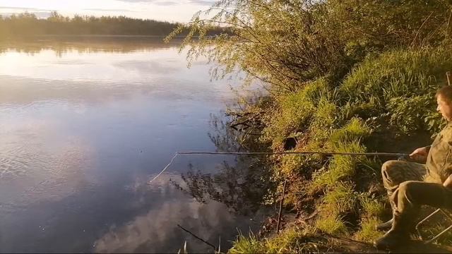 Звуки природы. Расслабление на рыбалке