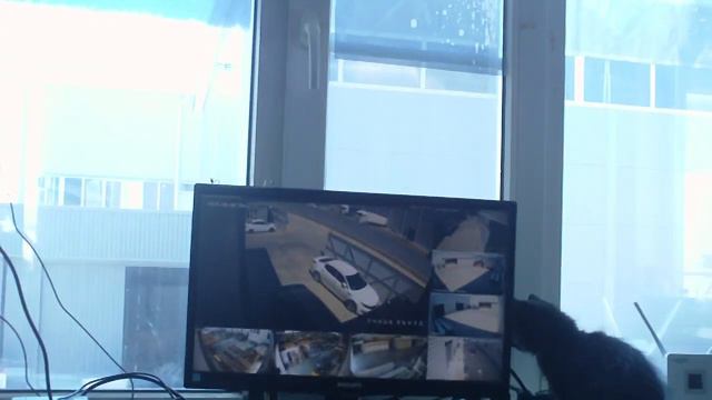 21 августа 2024 г.