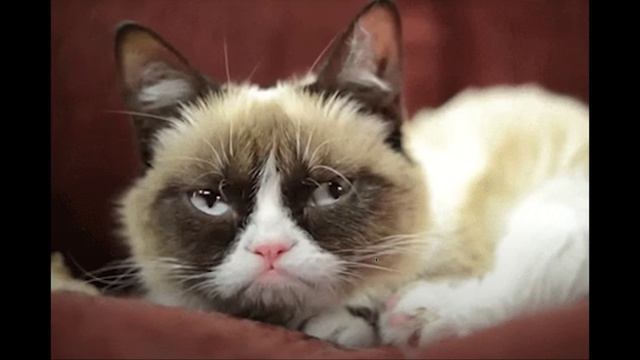 реакция на закатун ( травмы )