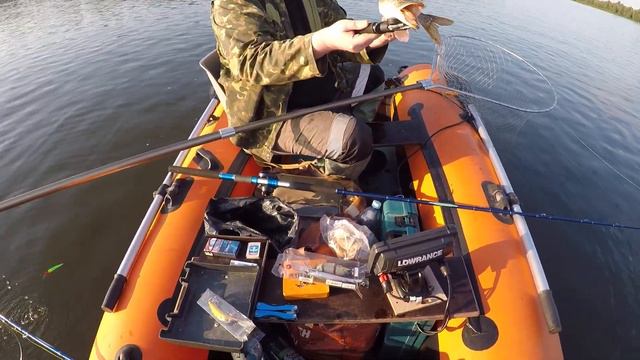 Ну очень трудовая щучка в этот раз.