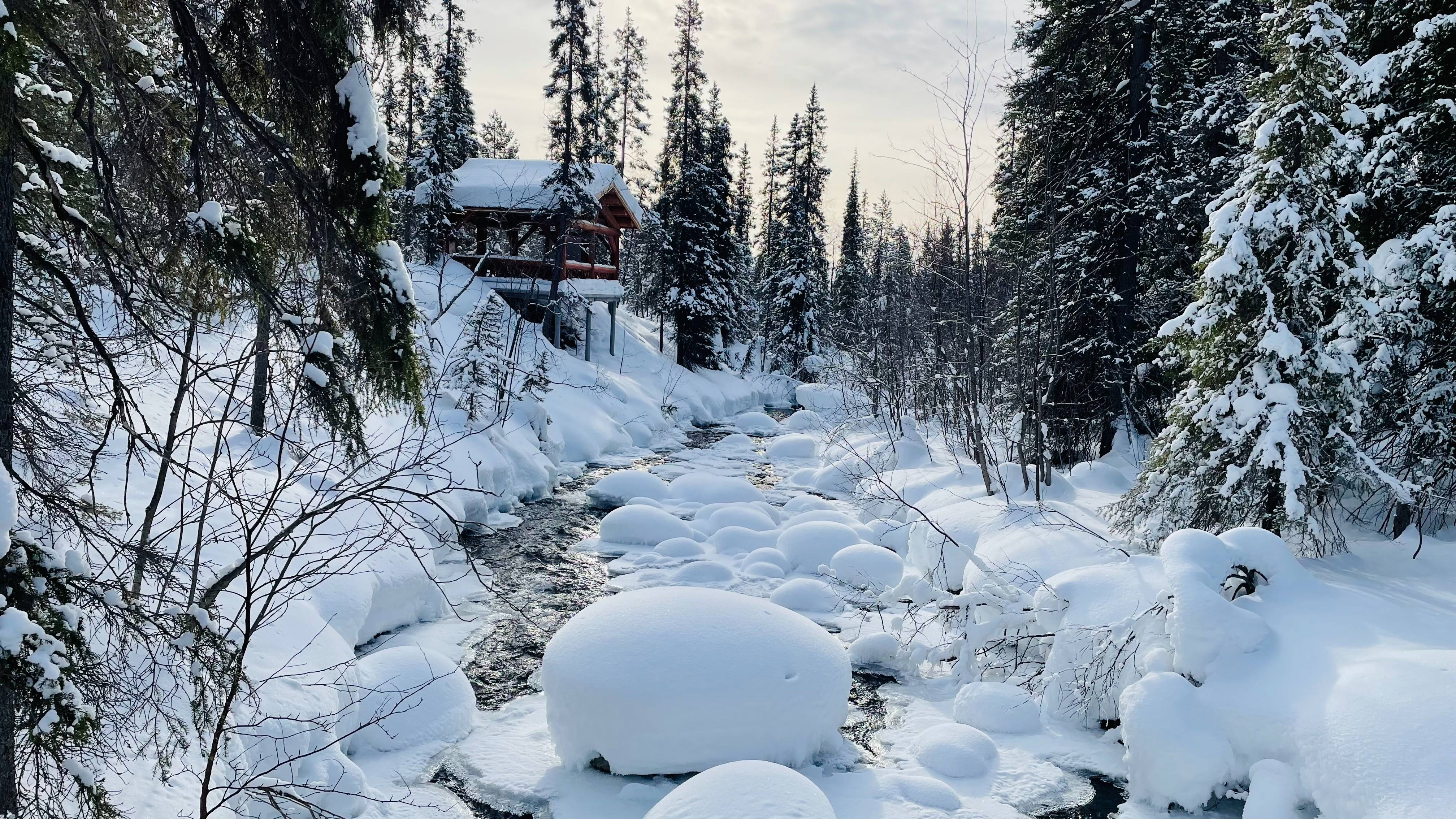 10.03.2023-Лапландия