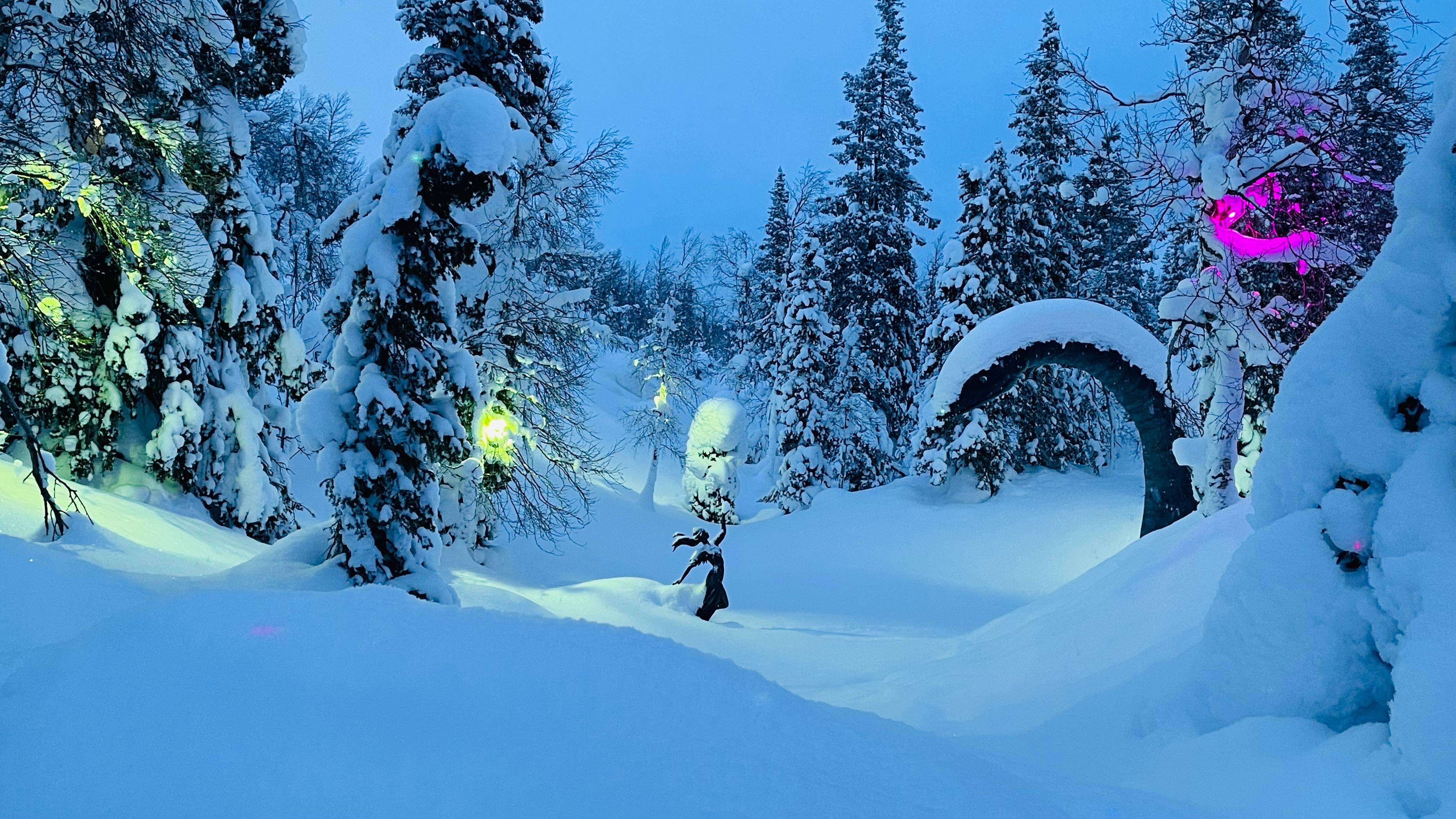 11.03.2023-Таинственный лес