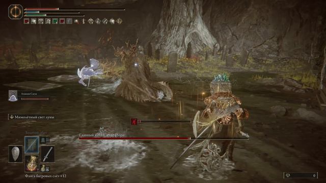 Elden ring Shadow of the Erdthree Гланый инквизитор Йори