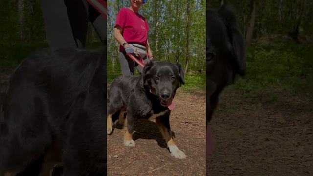 Она ищет дом