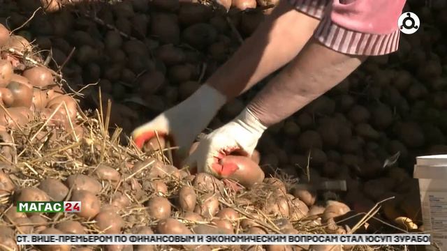 Экономические новости с Заремой Часыговой