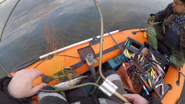 Ока,троллинг с руки (дорожка).Отличный день и клёв хищника