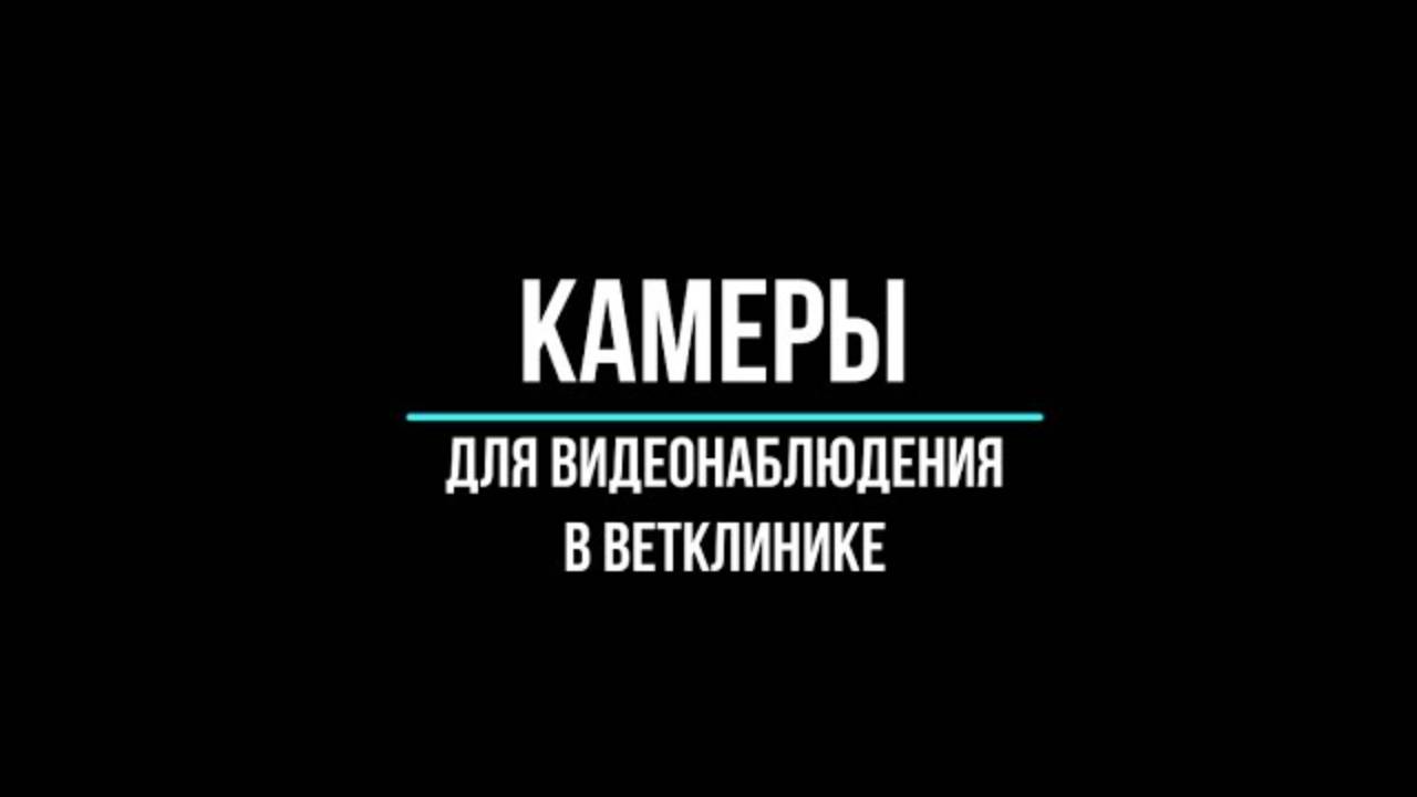 🔥КАМЕРЫ для ВИДЕОНАБЛЮДЕНИЯ в ВЕТКЛИНИКЕ - Видеонаблюдение GlazGo-Video