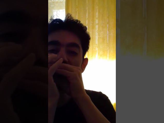 Аккомпанемент на гармошке для St Louis Blues JJ Milteau