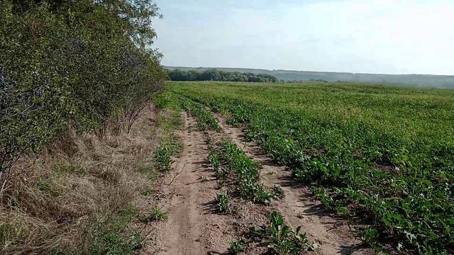 Разведка перед рыбалкой, 13.09.2024г, Армавир - окрестности.